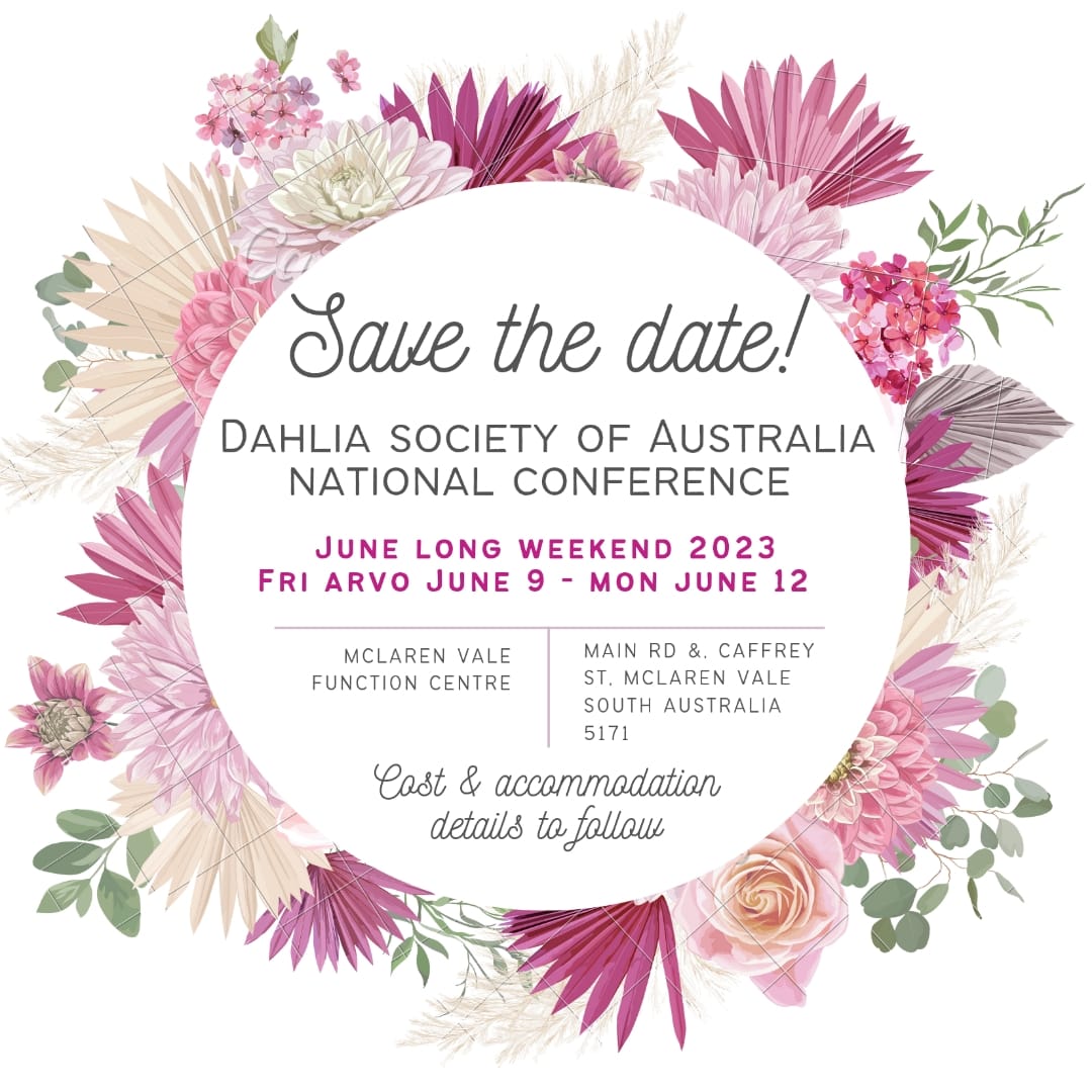Dahlia Society of South Australia – Dahlia Society of Australia