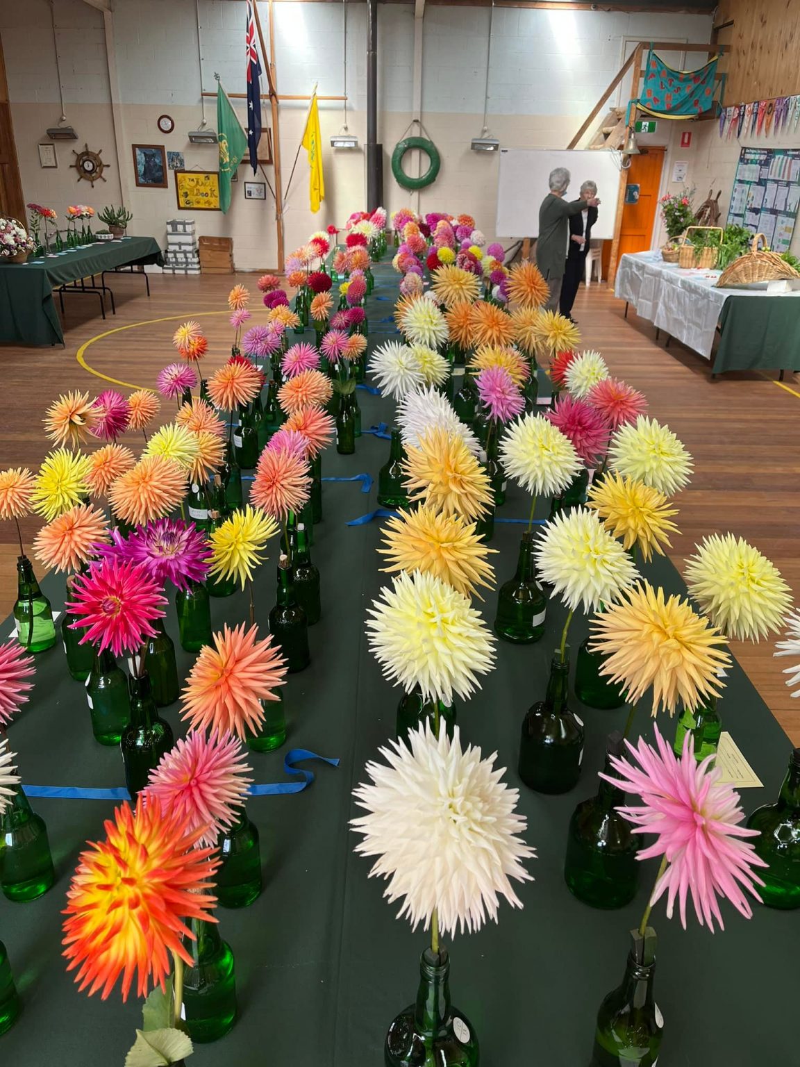 Tasmanian Dahlia Societies – Dahlia Society of Australia